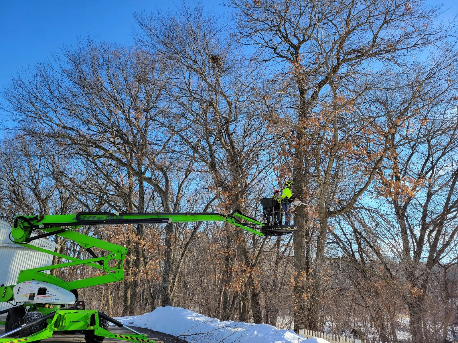 Professional Tree Services in Milaca, MN | Pioneer Tree Service